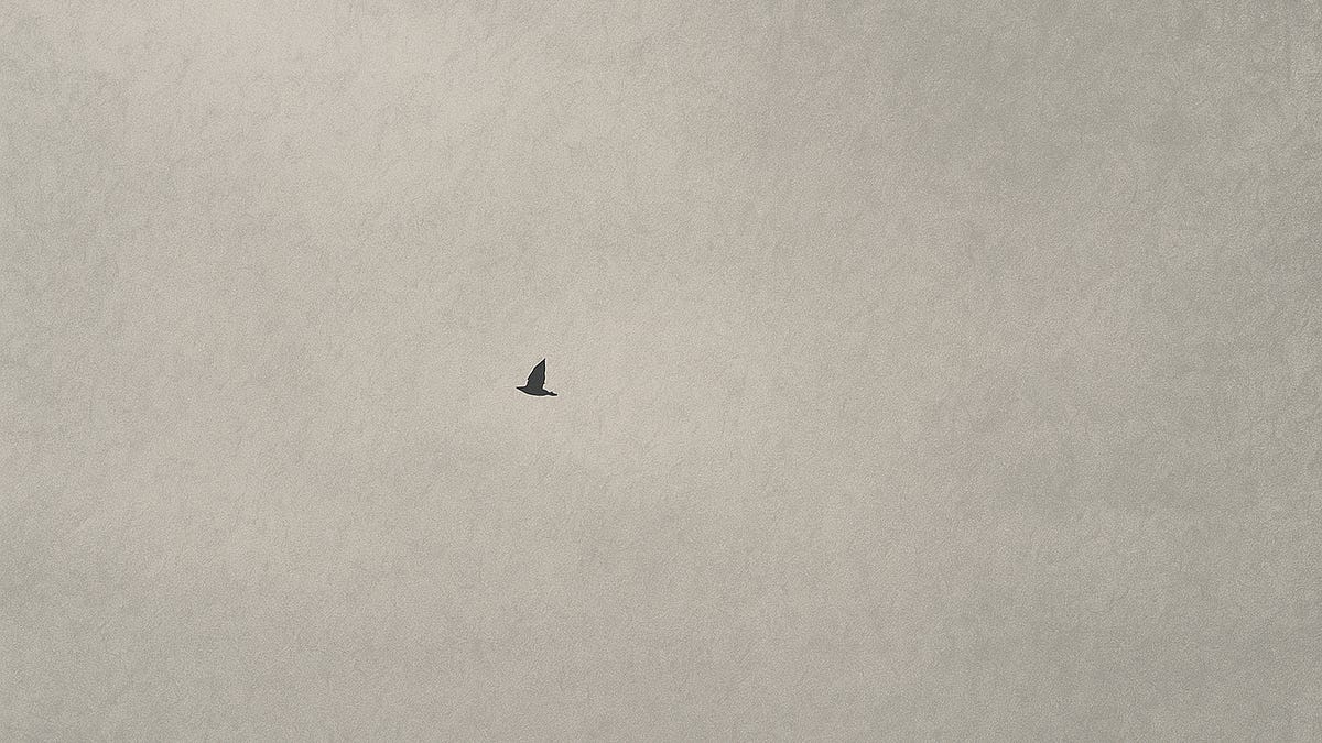 no distance to cross - by benjamin james freeman