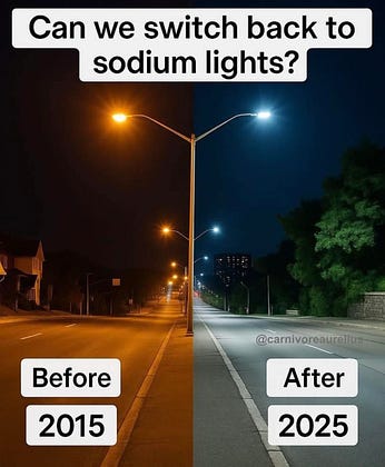 A Midwestern Doctor | Substack