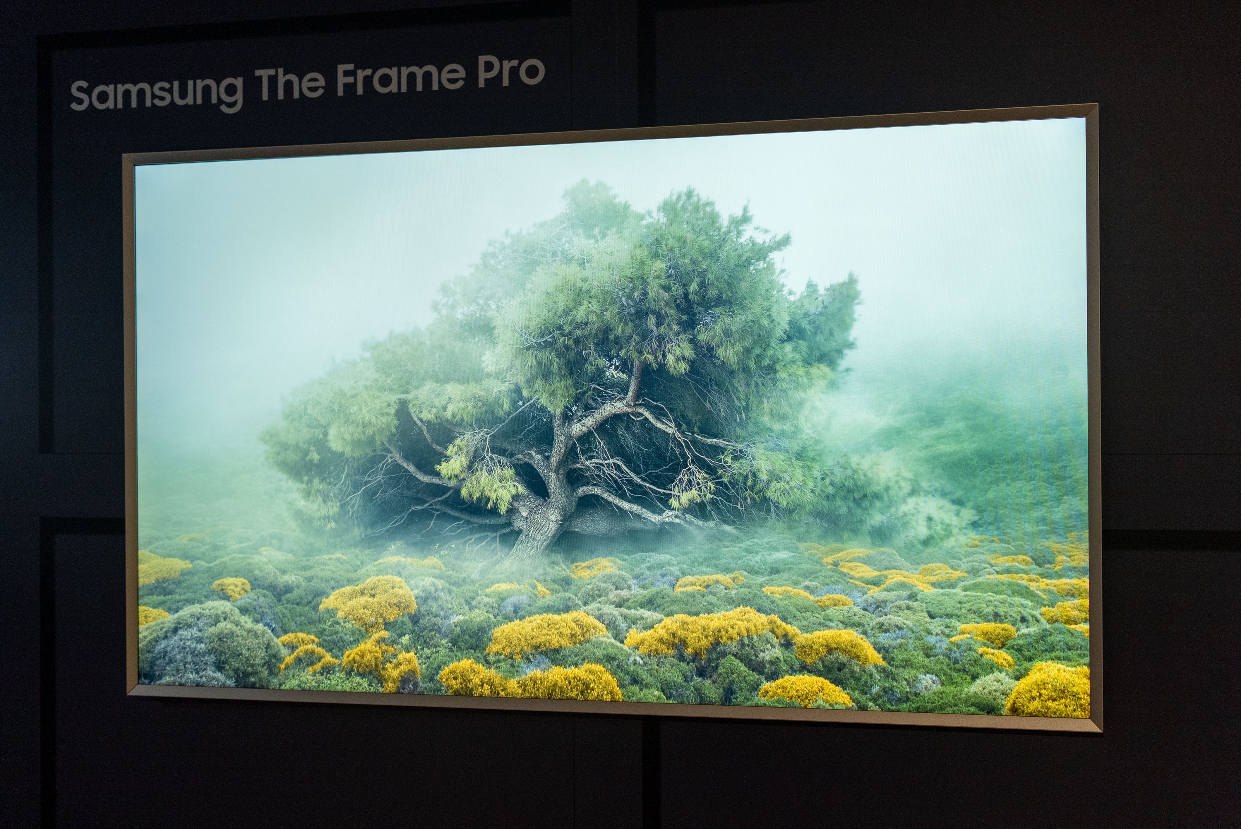 Samsung Frame Pro TV hands-on review: the best-looking Art TV in 2025