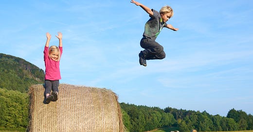 A Norwegian Approach to Supporting Children’s Risky Play