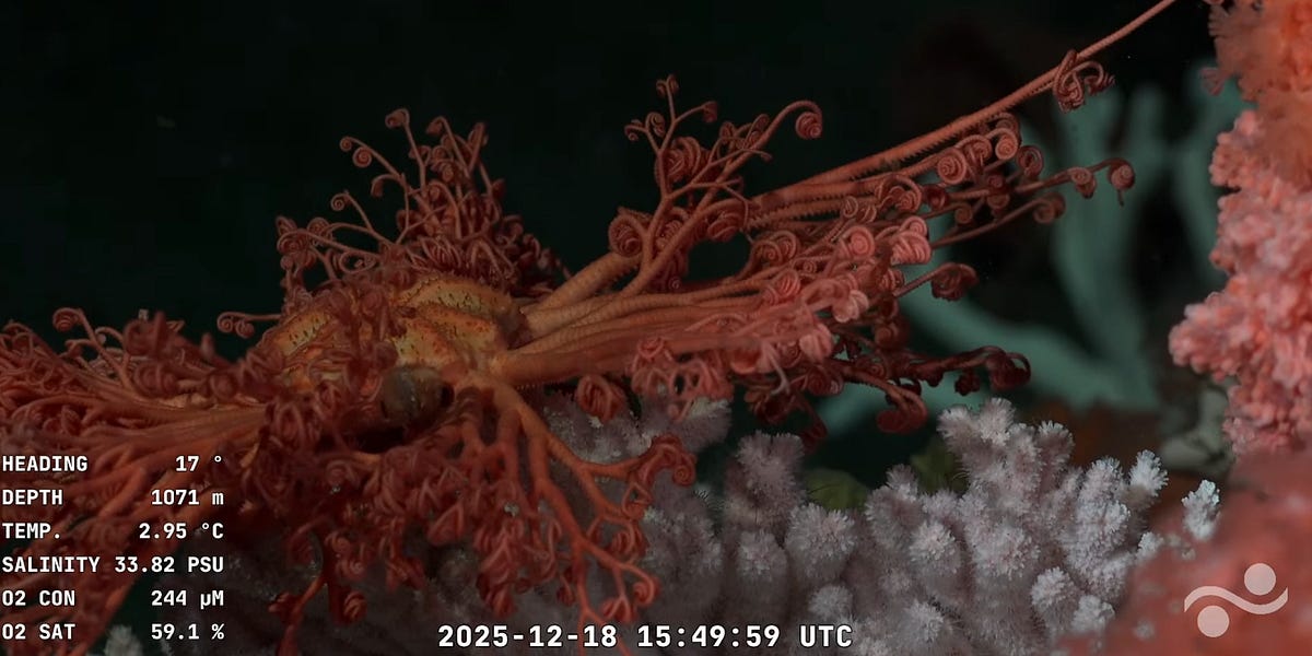 prepárense - by Jade - sumidouro