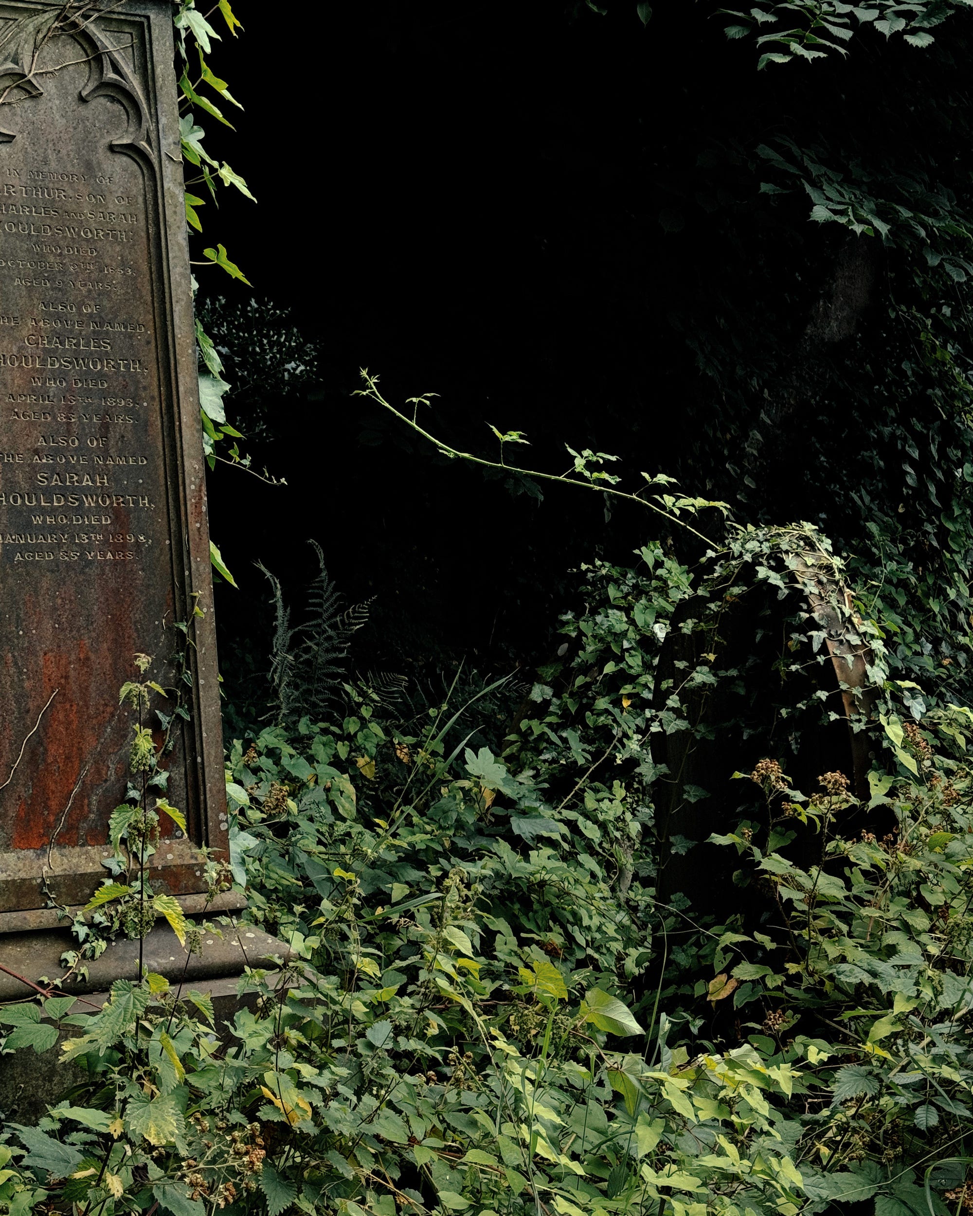 living cemetery - by alina trifan - Bouquet