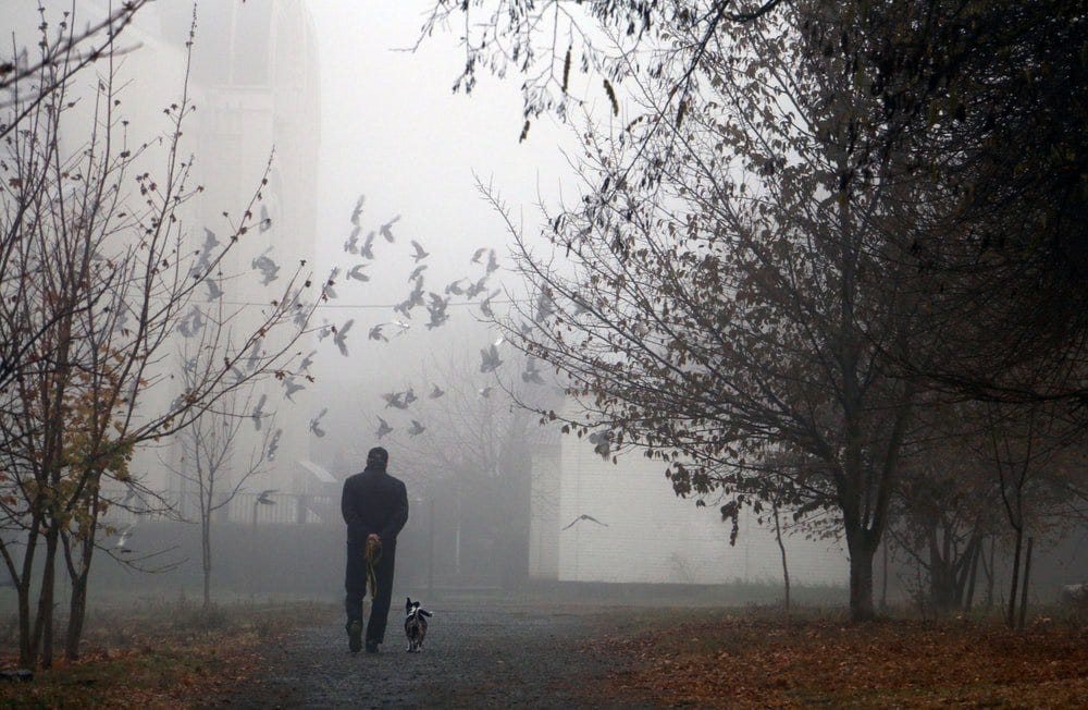 Three Poems by the Great Jack Gilbert - Poetic Outlaws