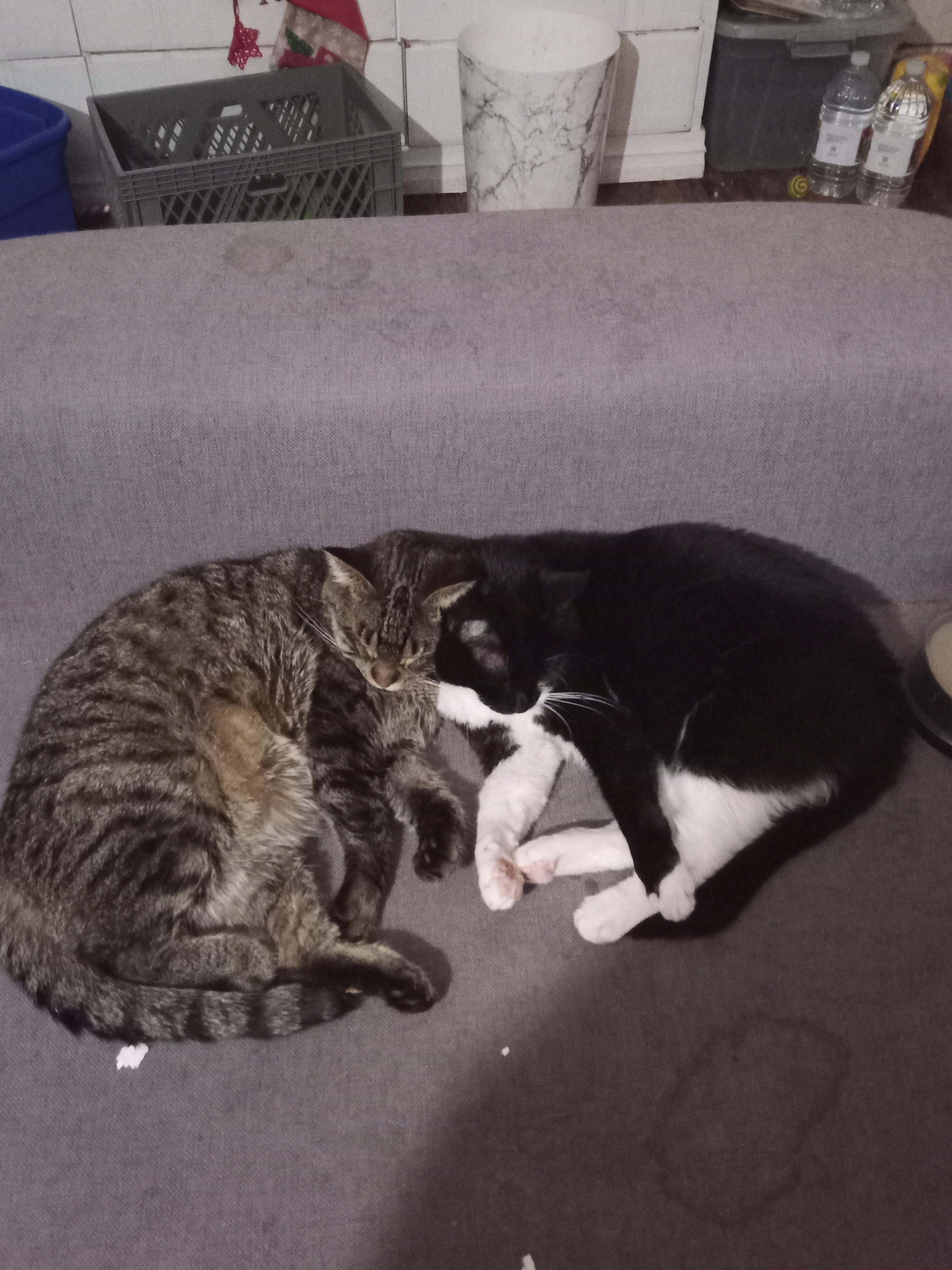 Jung's Conflict of Opposites - by Jennifer Redelle Carey