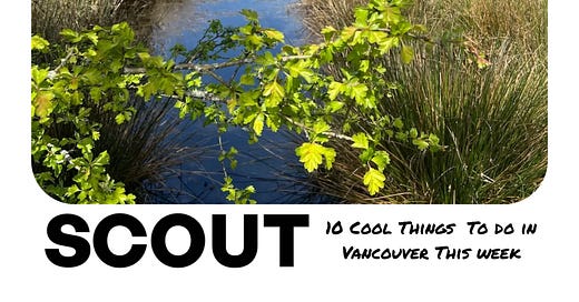 Scout Magazine | Michelle Sproule | Substack