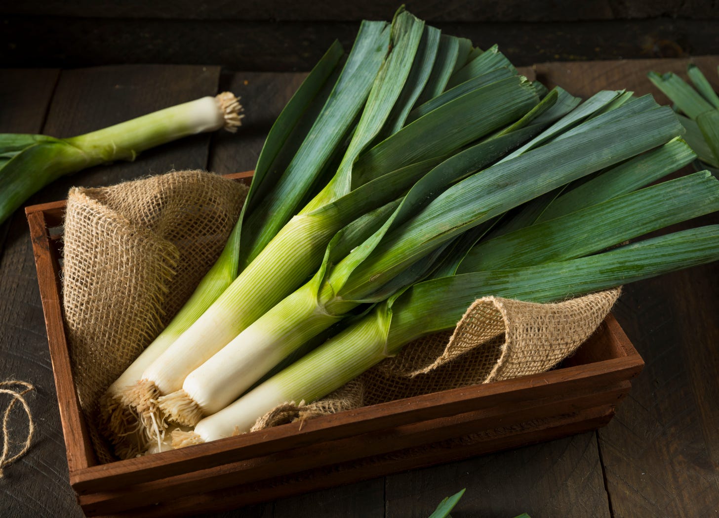 Leeks Science Corner - by Lisa McLean