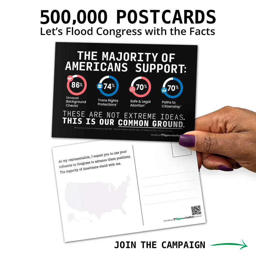Call to Action: The Majority Project - by Heidi Rabinowitz