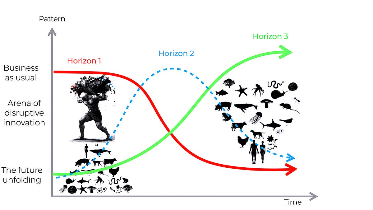 discomfort zone substack