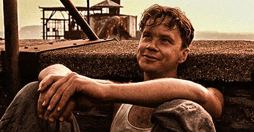 The Elephant In The Room