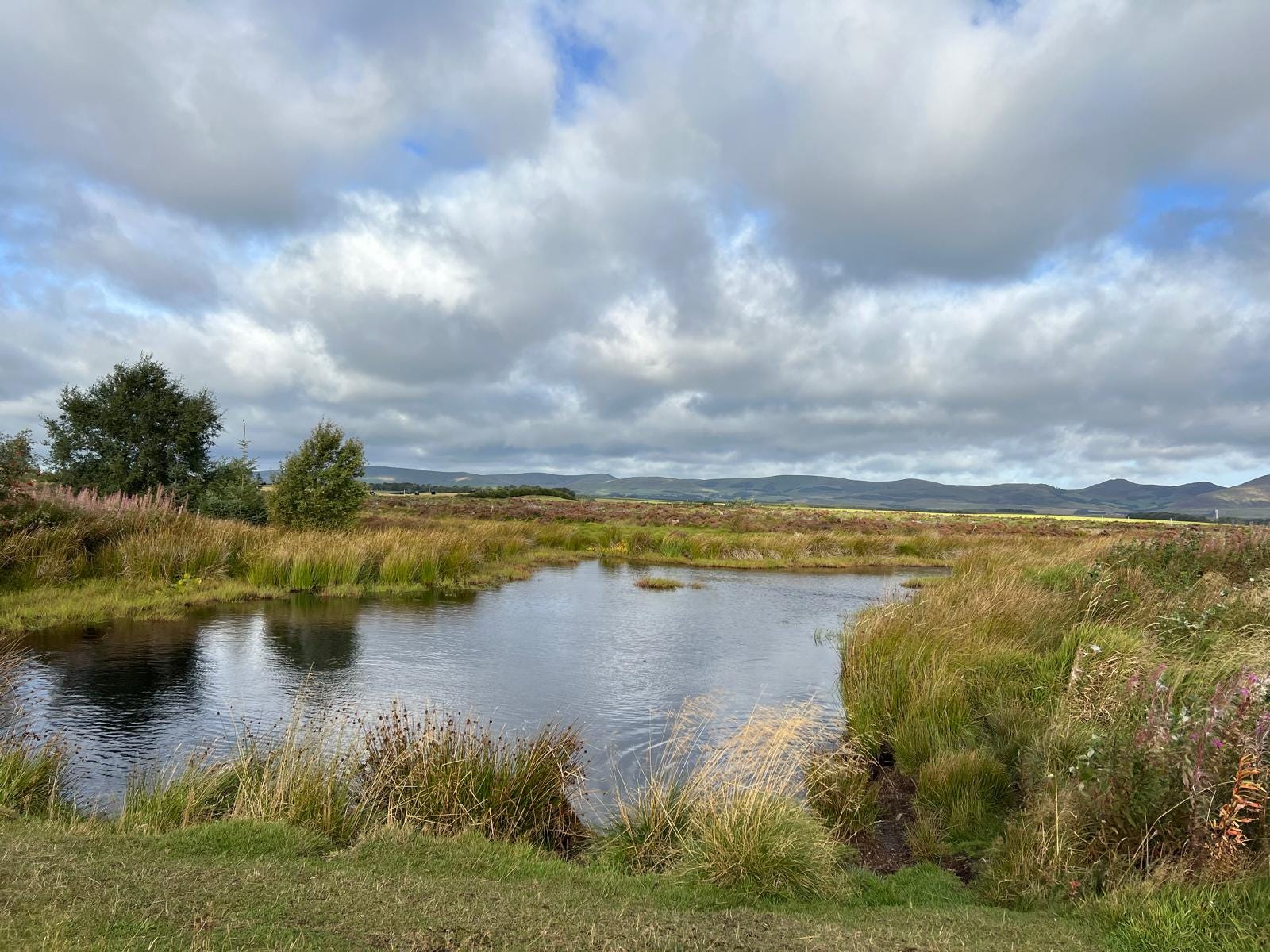 The Peeblean: Saturday 13 September 2025 - The Peeblean
