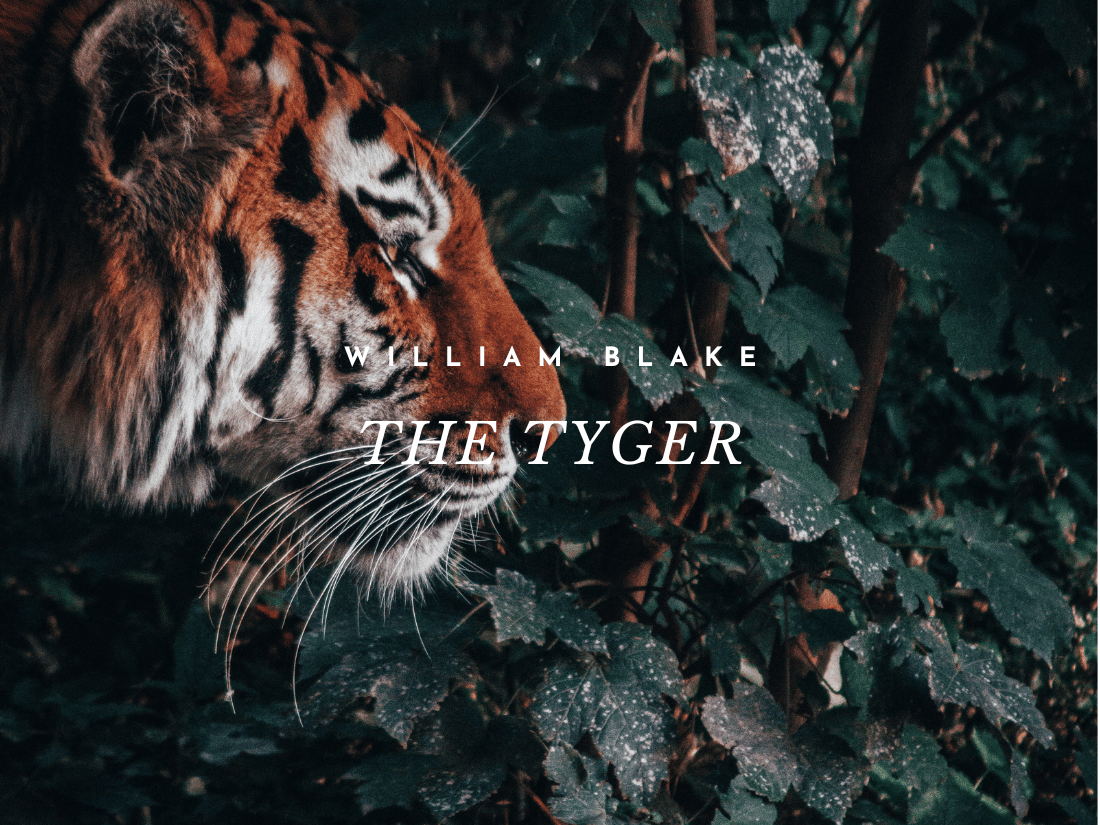 The Tyger—William Blake - by The Rabbit Room