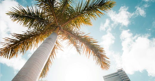 Men and the City Substack | Cameron Macgregor | Substack