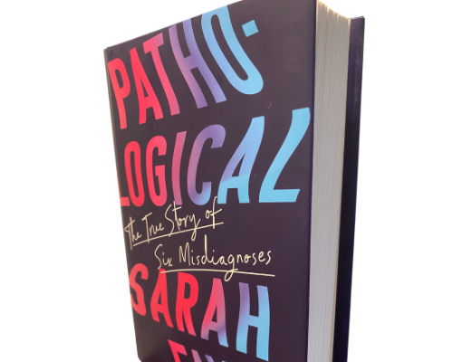 Substack Writers at Work with Sarah Fay | Sarah Fay, PhD | Substack