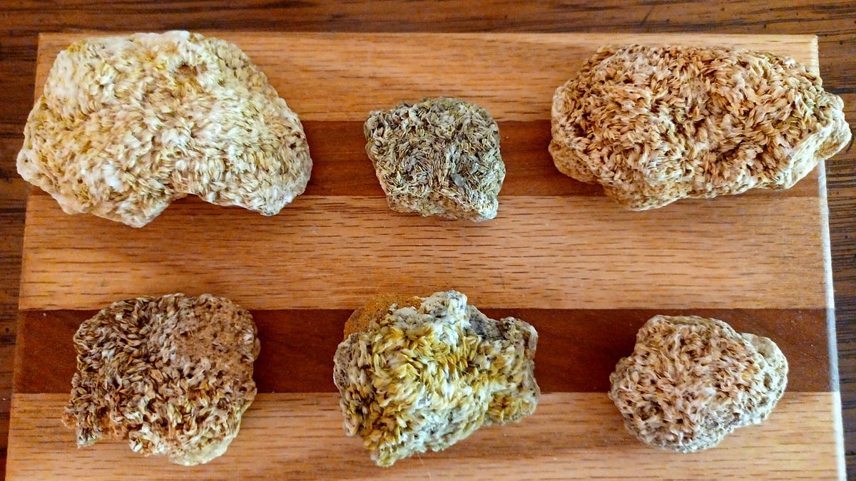 Eating Rocks - Sarah Kendzior’s Newsletter
