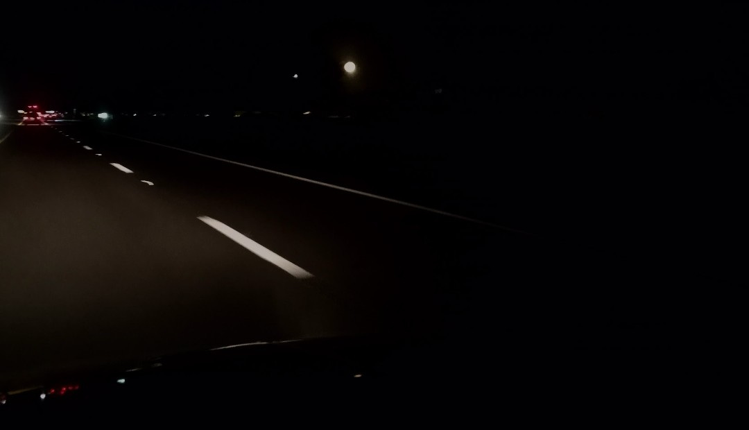 A Man Dies at the Edge of a Highway in Holiday, Florida