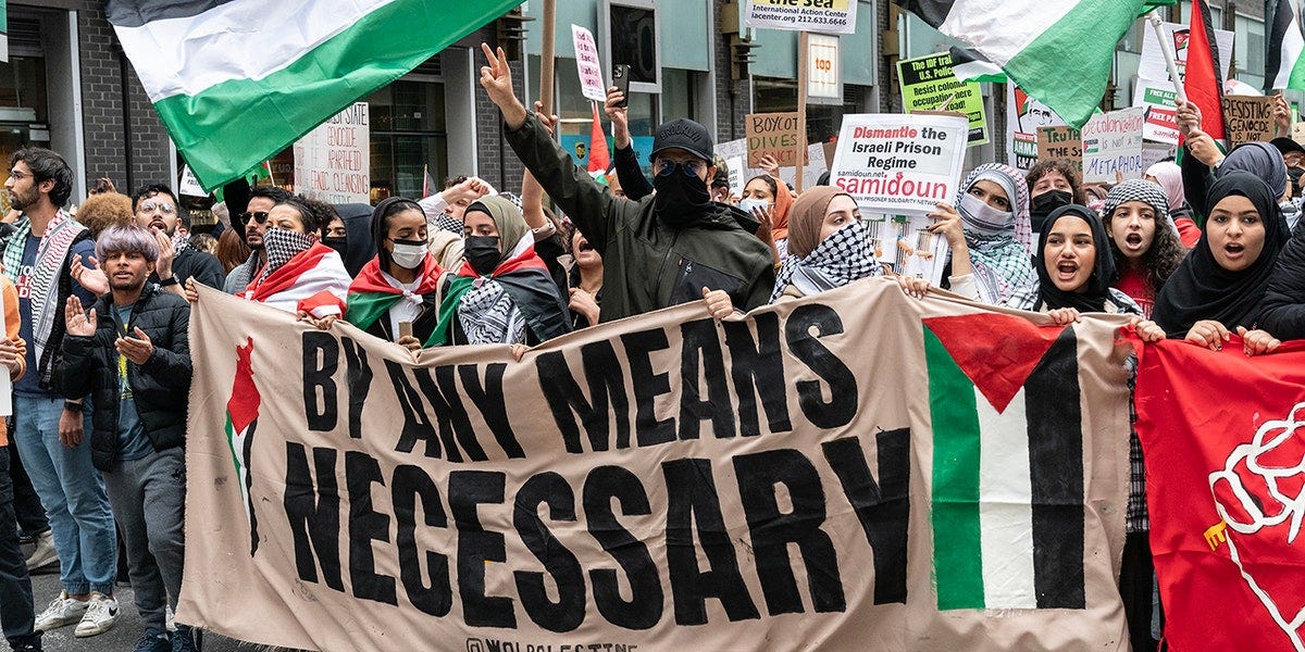 These Free Palestine Cats Outta Control Mane