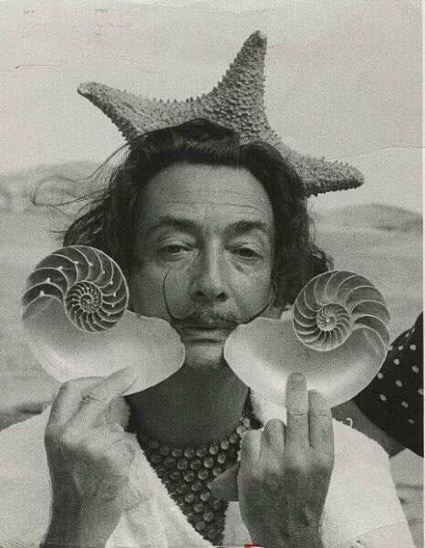 Were shells the artist's earliest muse? - by Elsie Morales