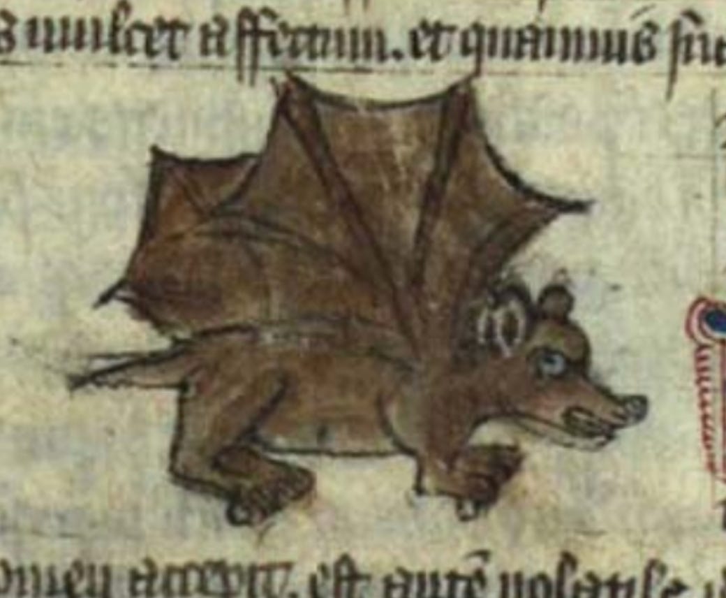 10 Medieval Bats to Keep You Company This Autumn