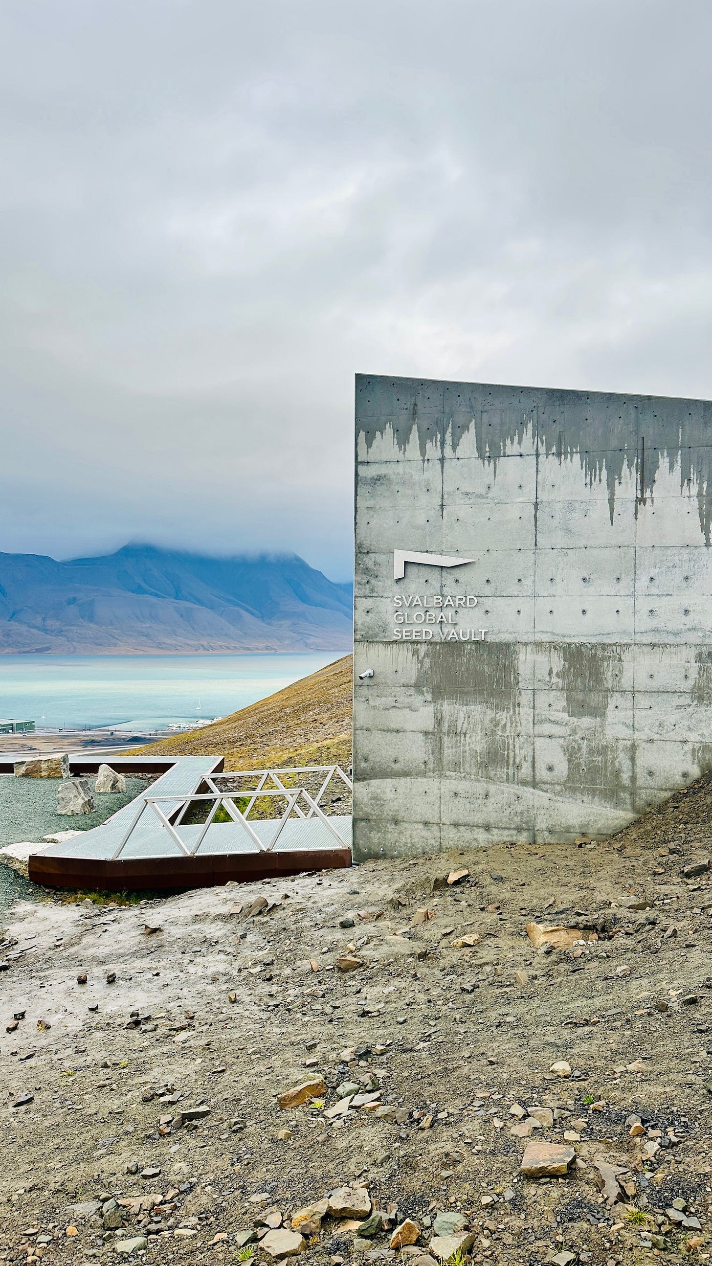 Norway, the food way - by Emily Ziemski - More or Less