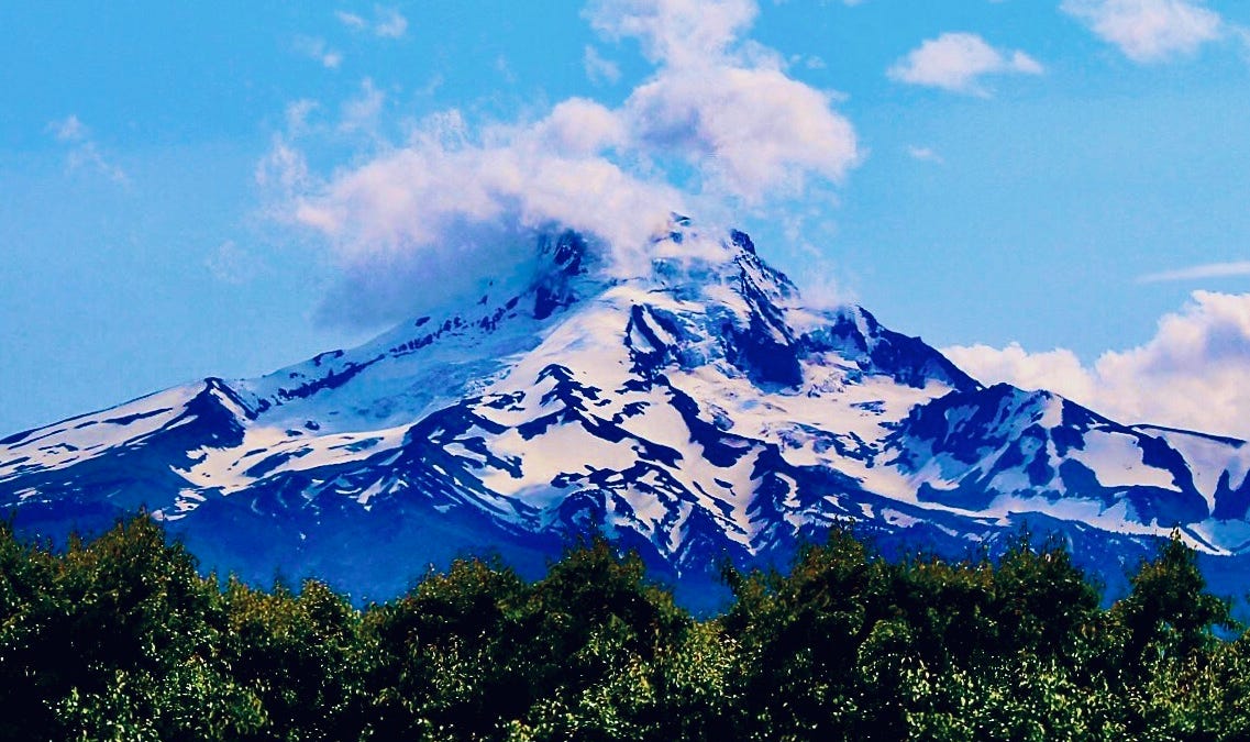 Dear Portland Rich People, - The Cognitive Ecologist