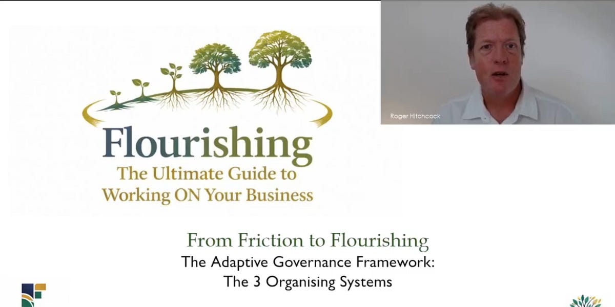The Adaptive Governance Framework – The Three Organising Systems