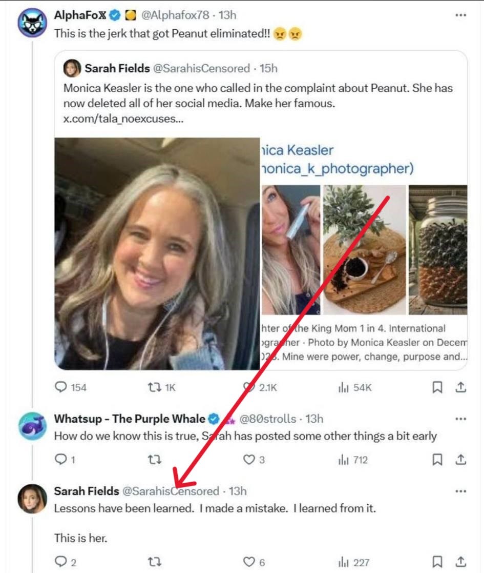 Texas Blogger Sarah Fields Admits to Publishing Fake News