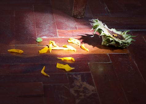 25 años. - El Substack de Susana