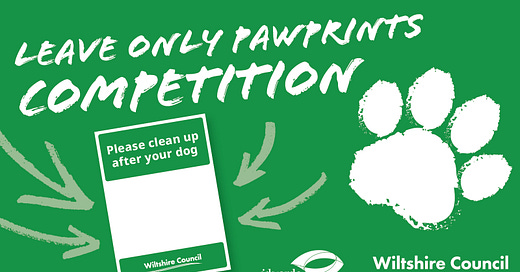 Inside Salisbury | Substack