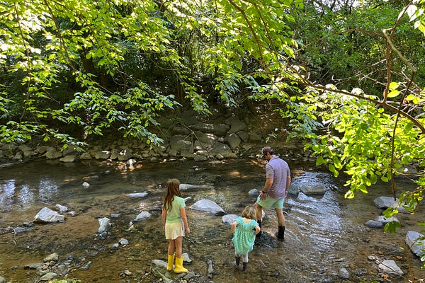 Open Secrets Magazine | Substack