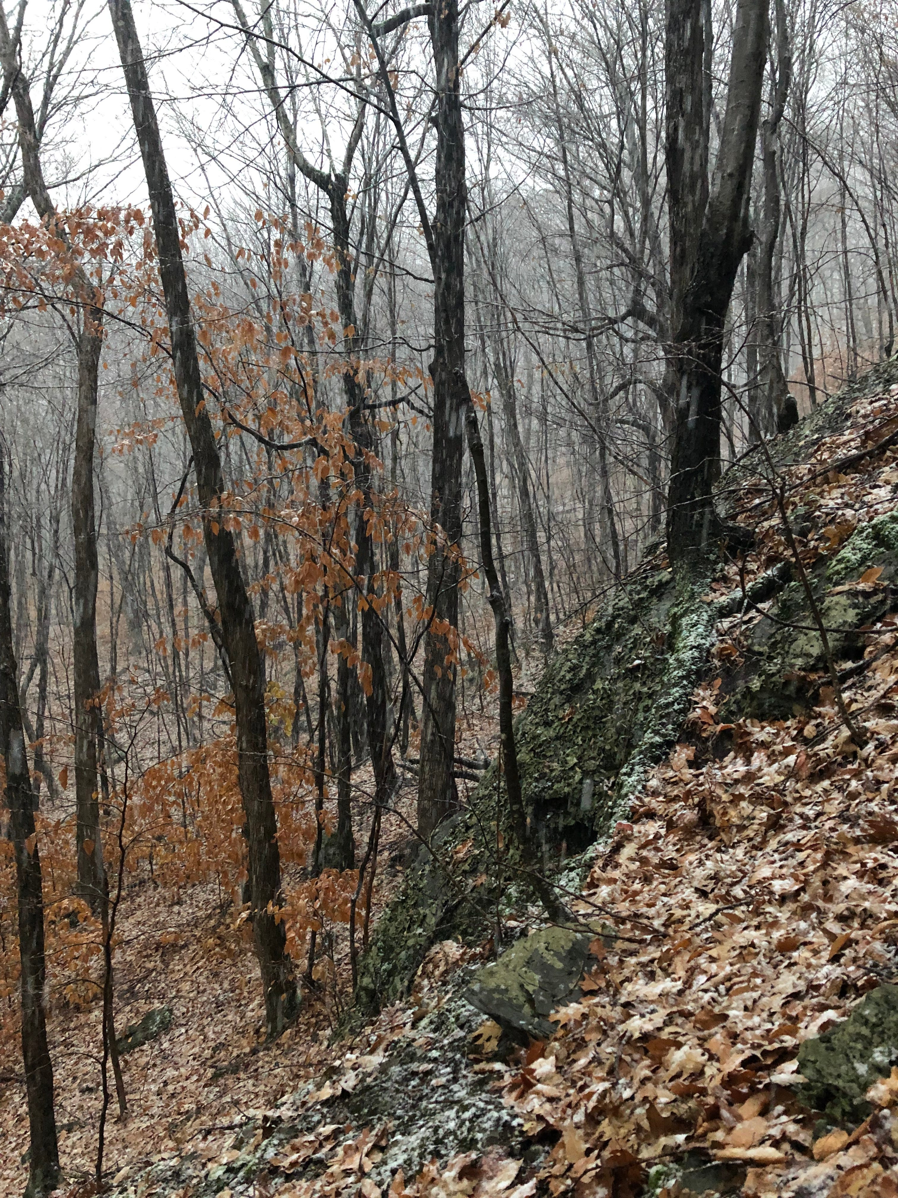 Reading the Landscape - by Vermont Almanac Dispatches