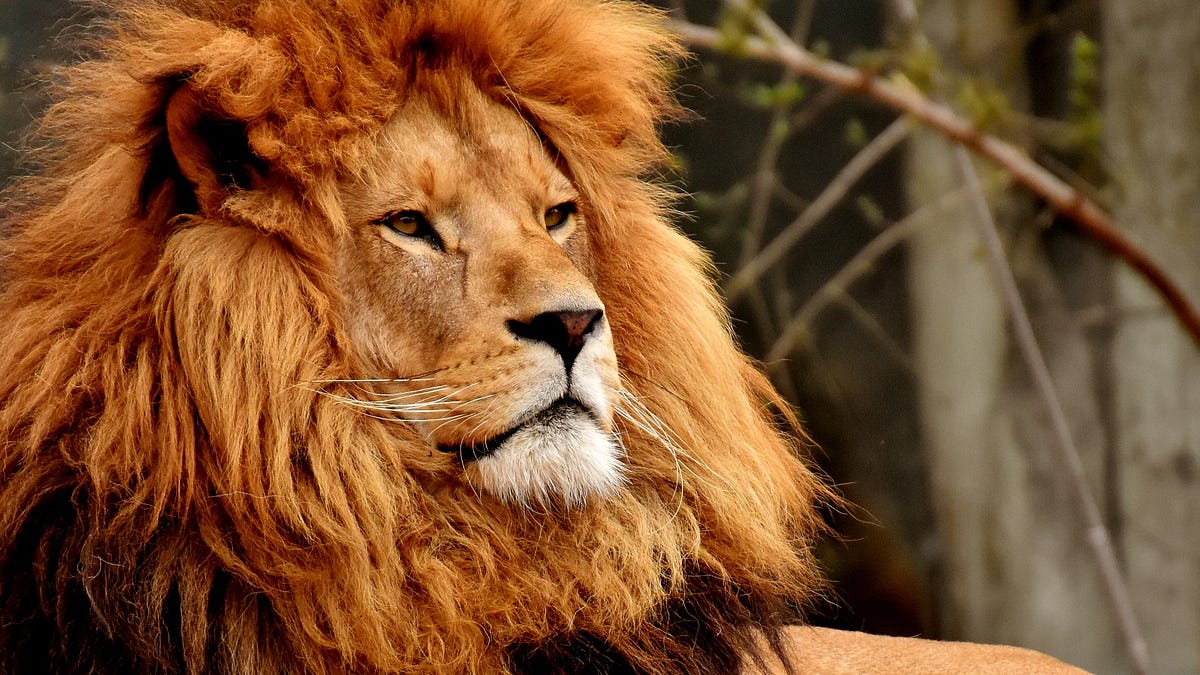 Larger Than Life: 10 Guideposts for Young Men