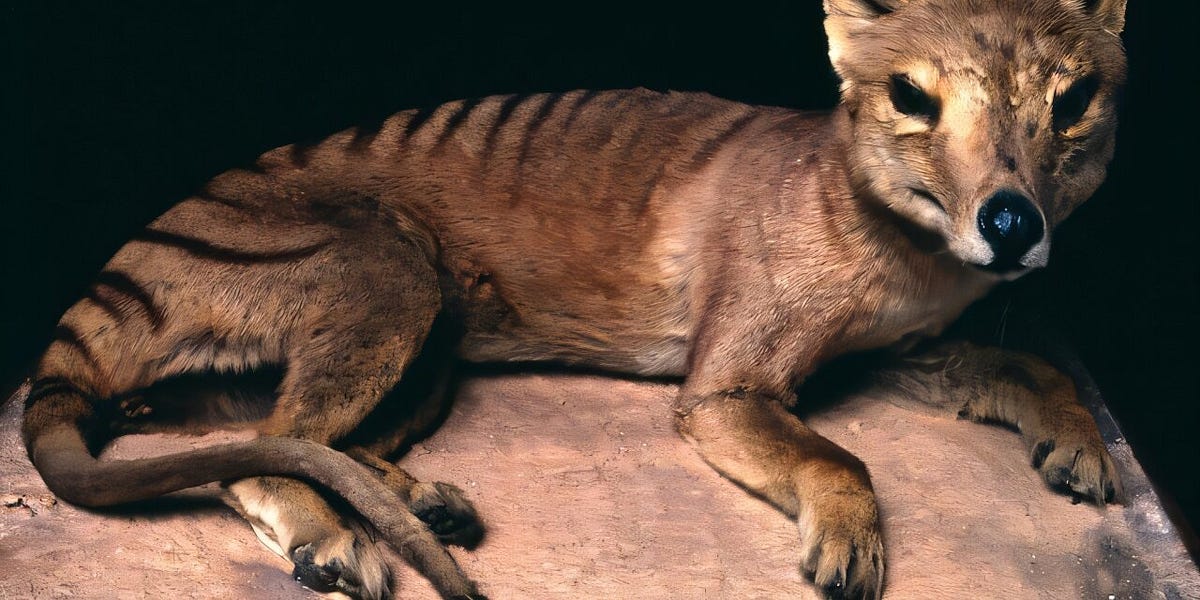 How Humans Rewired the Animal World - Anthropology.net