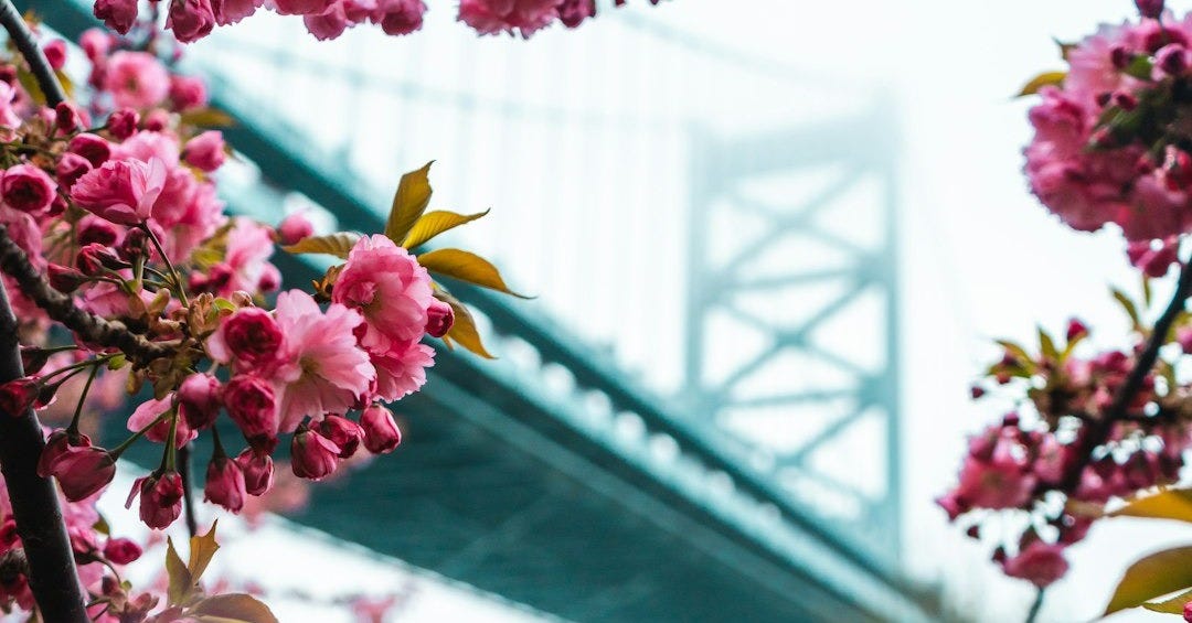 Things to Do in Philadelphia This Weekend with Kids (April 24–26, 2026)