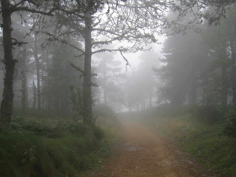 🧙 TIERRA MEIGA – WITCHES’ LAND - Food and Fiesta
