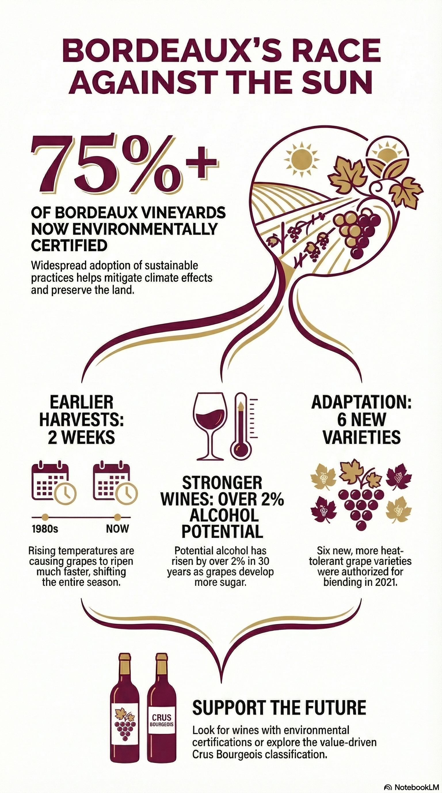 12 of My Best NotebookLM Infographic Prompts