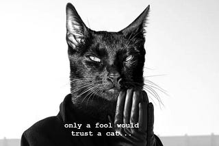 bad cattitude | el gato malo | Substack