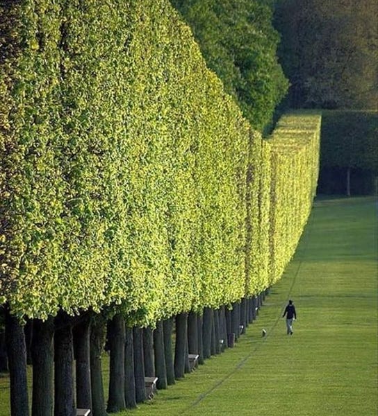 Hedge in May and go away: Beachman's 2025 hedging plan - Part 3