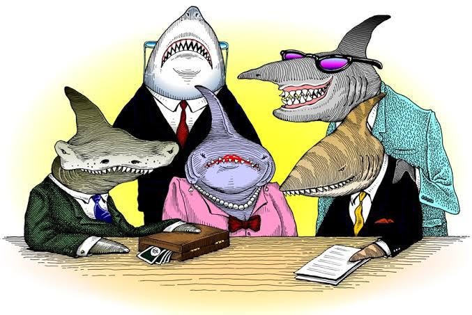 Sharks Know the Only Law That Matters - by 𝐒𝐡𝐚𝐫𝐤’