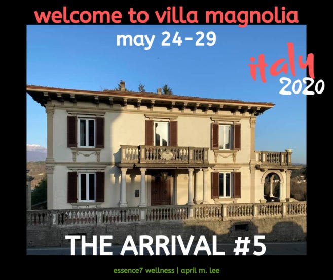 the dream, the atmosphere - by april m lee