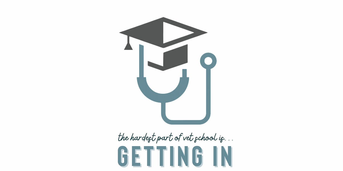 Dr. Dillon Scott on St. Matthew's Vet School