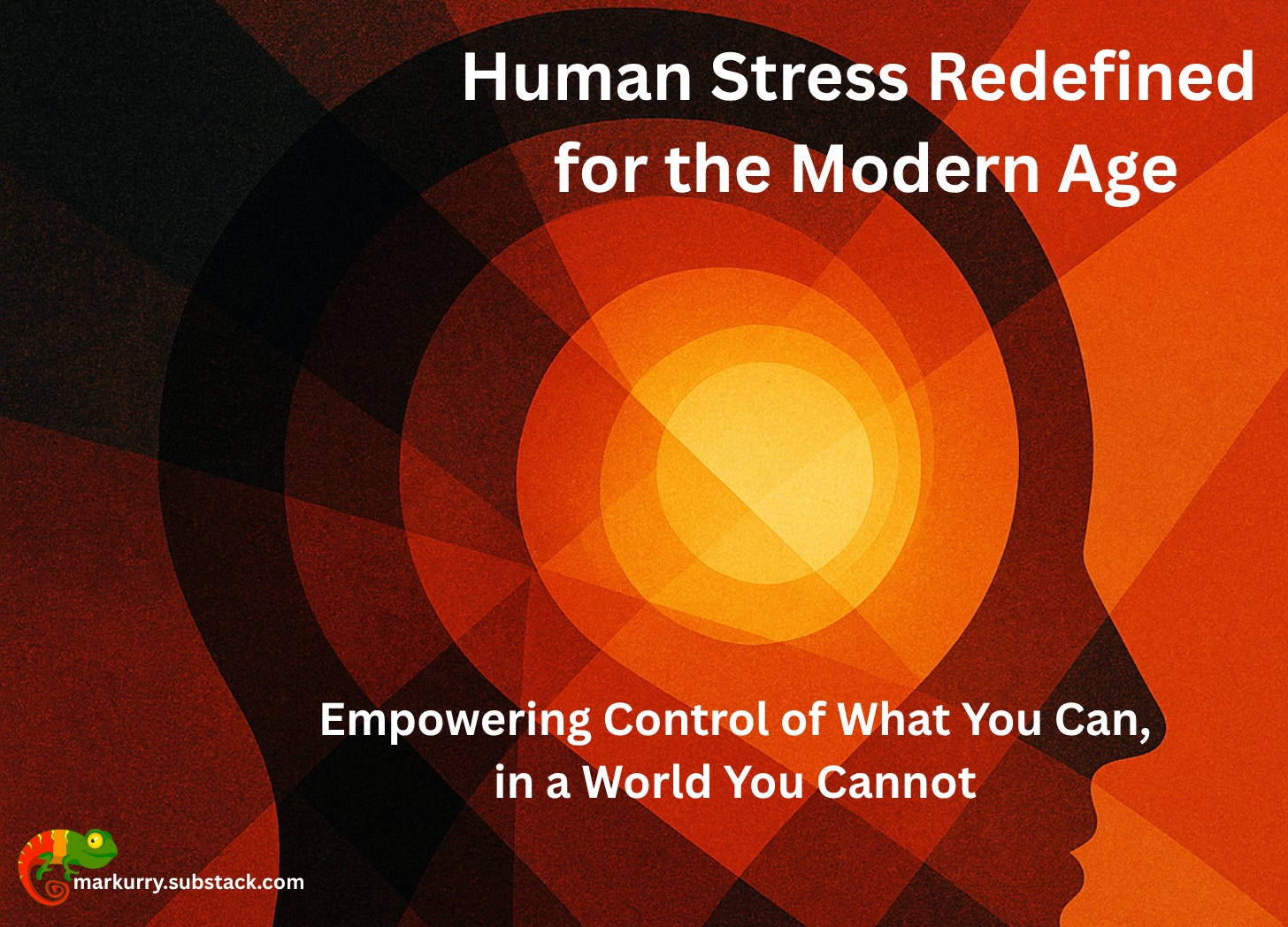 Human Stress Redefined for the Modern Age - Mark Urry