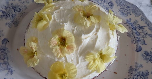 Lauren Grace | Substack