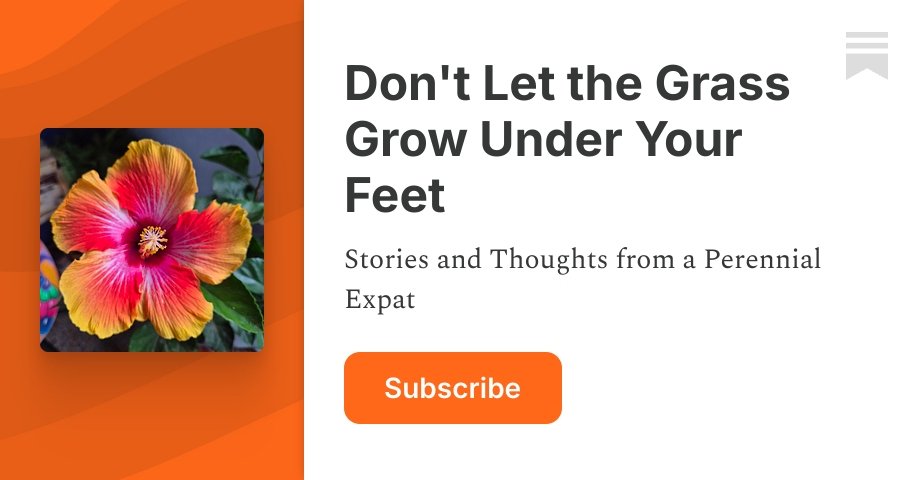 Don't Let the Grass Grow Under Your Feet | Joyce Kinnear | Substack