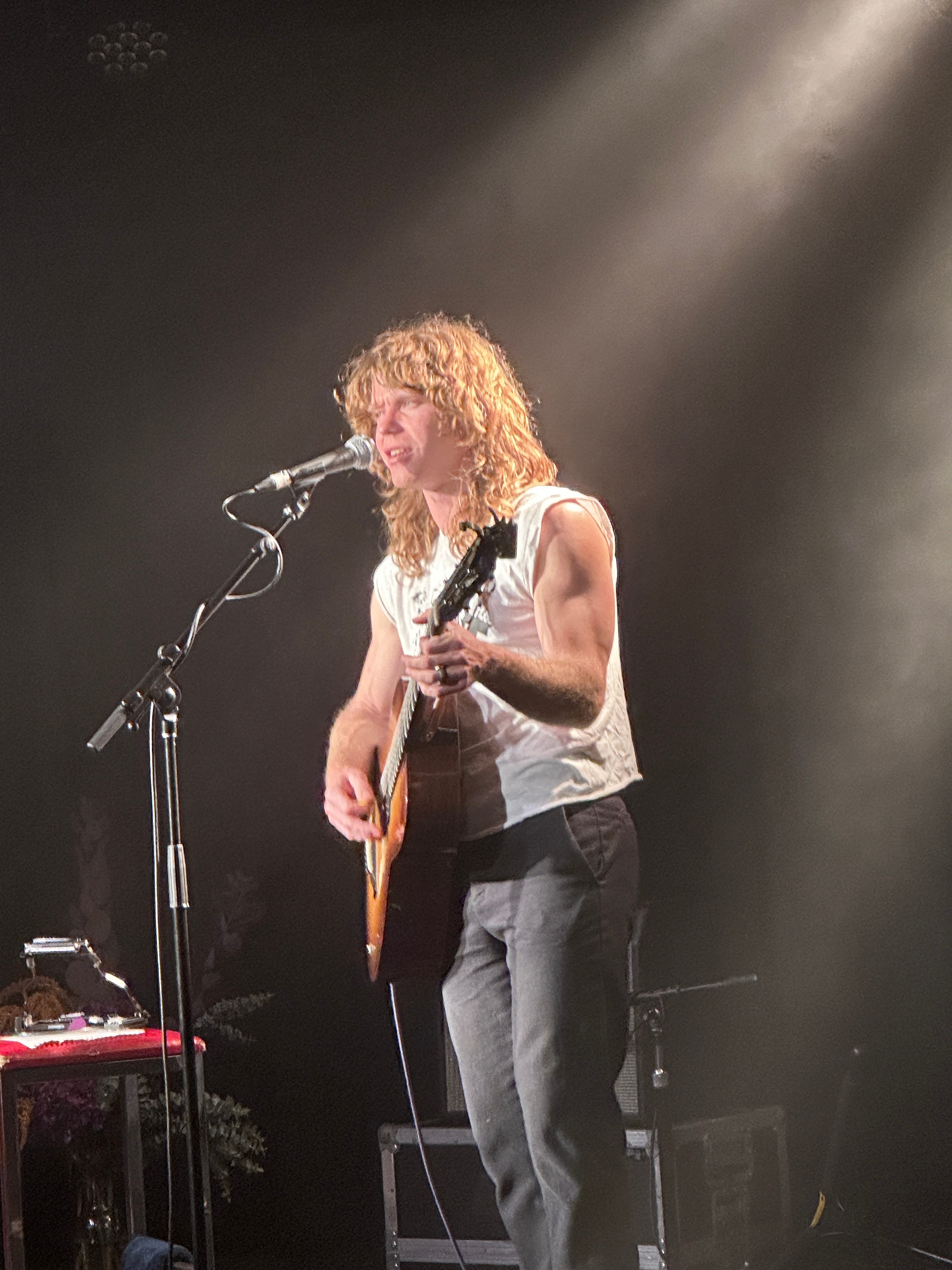 Jesse Welles Alive Down Under - by Paul Busch