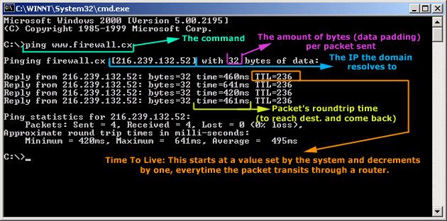 Understanding ICMP Ping - The Coding Gopher