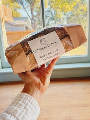 Joy Wilson | Substack