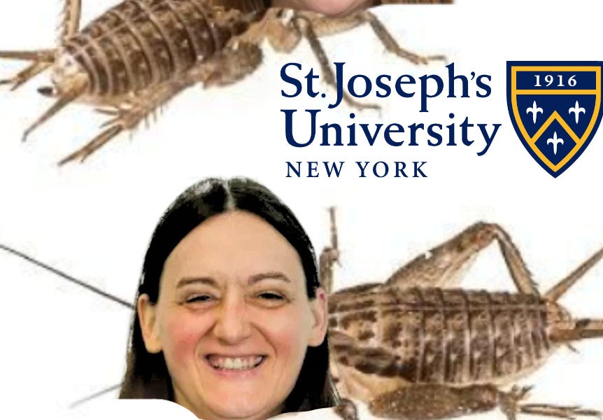 Crickets from St. Joseph’s University: AD's Dishonesty on the Diamond ...