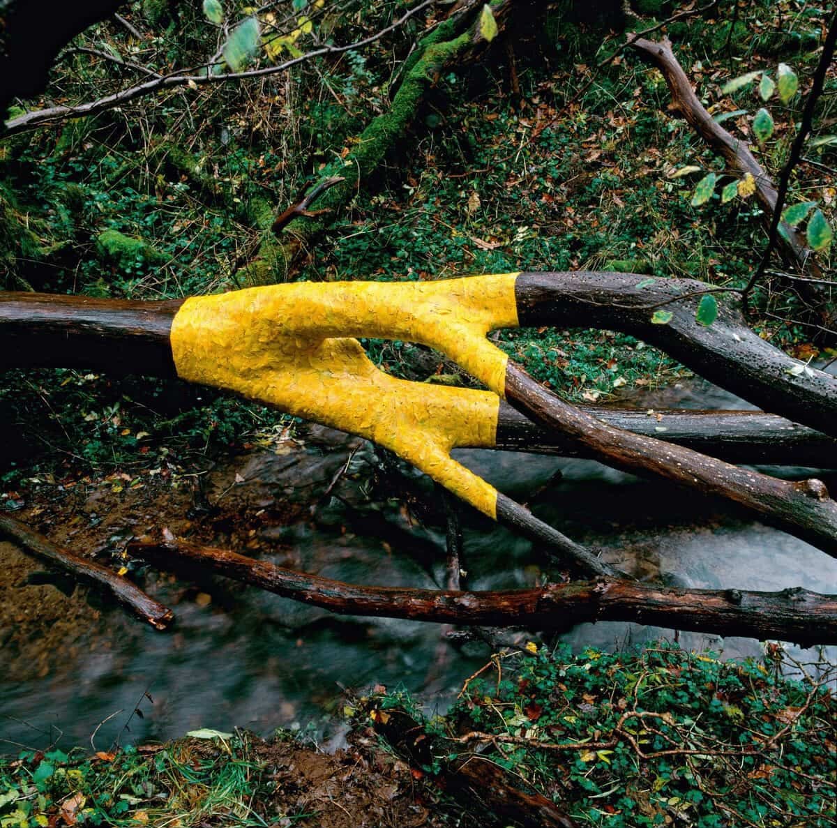 The secret history of color: yellow - by Rose Florence