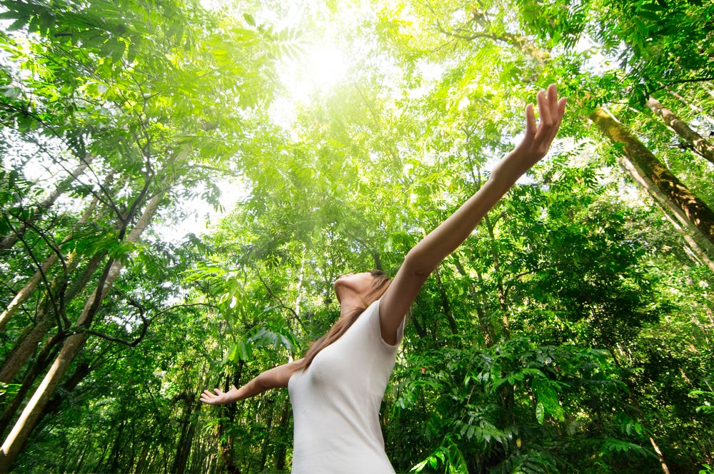 How Nature Helps You Feel Better by Calming Your Mind and Body
