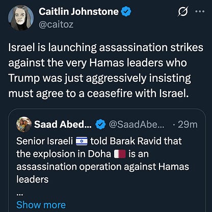 Caitlin Johnstone | Substack